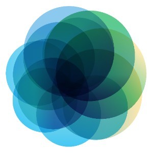 Breast Cancer Foundation NZ - Time to Screen - BreastScreen Aotearoa